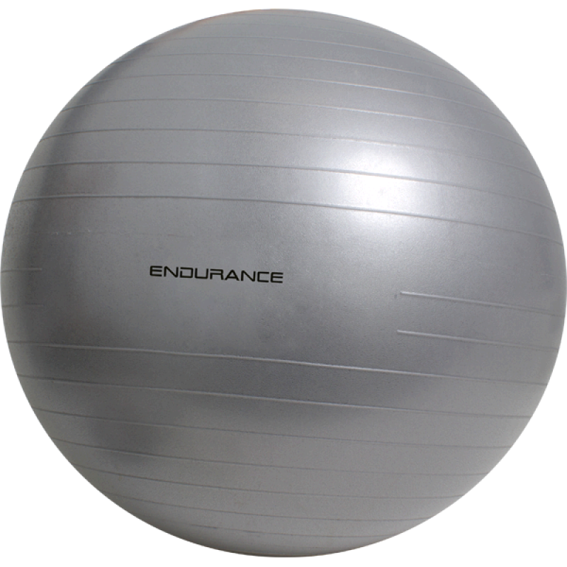Gym Ball Price in Pakistan - Buy Exercise Ball Online – Al-Fatah