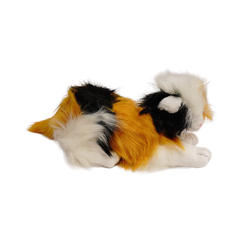 408CG GOLDEN CAT (A.I) – Al-Fatah