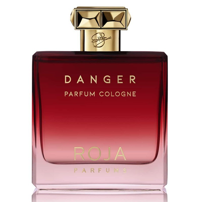 ROJA DANGER COLOGNE POUR HOMME EDP 100 ML – Al-Fatah