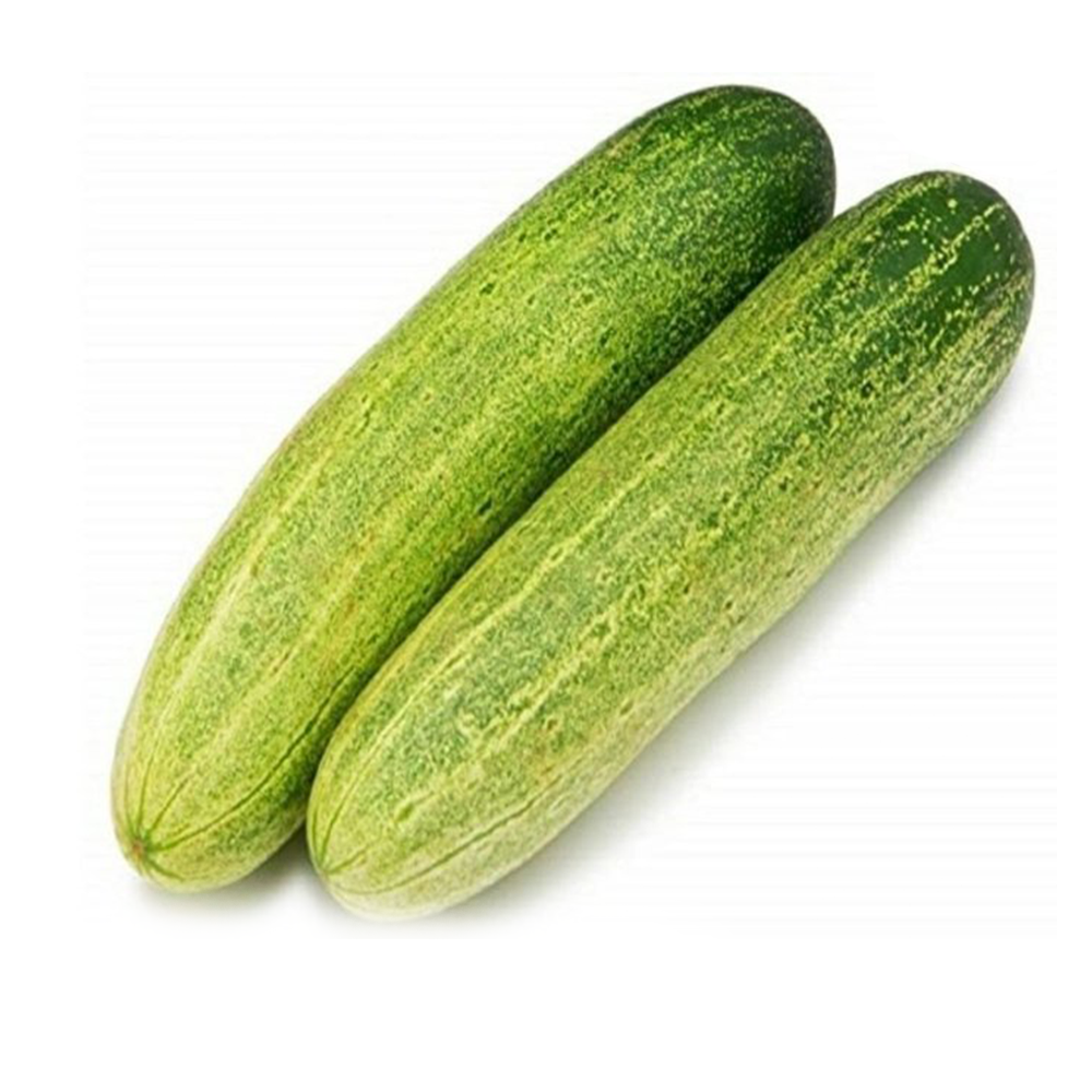 DESI CUCUMBER(Kheera)(1 KG TO 250 GM) – Al-Fatah