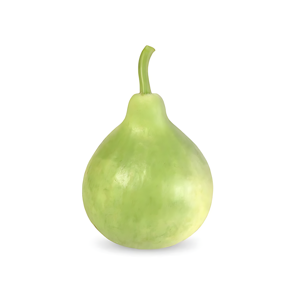 ROUND GOURD(Kadu)(1 KG TO 500 GM) – Al-Fatah