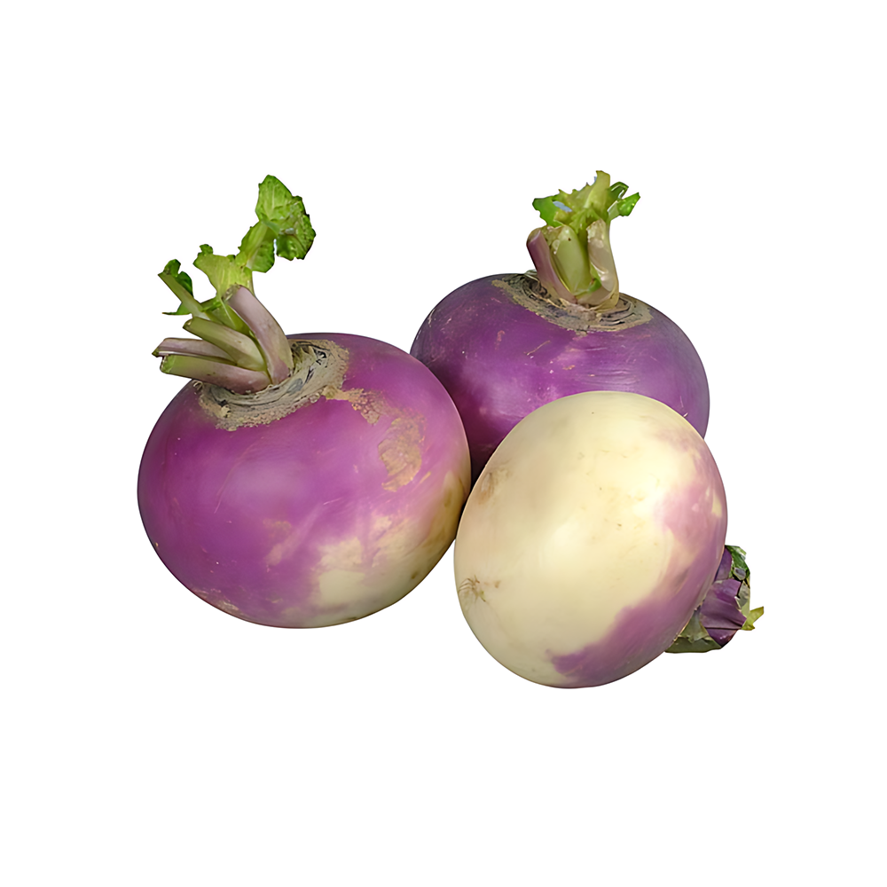 TURNIP(Shaljam)(1 KG TO 250 GM) – Al-Fatah