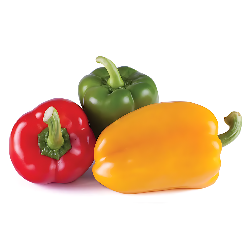 BELL PEPPER(Shimala mirch)(1 KG TO 250 GM) – Al-Fatah