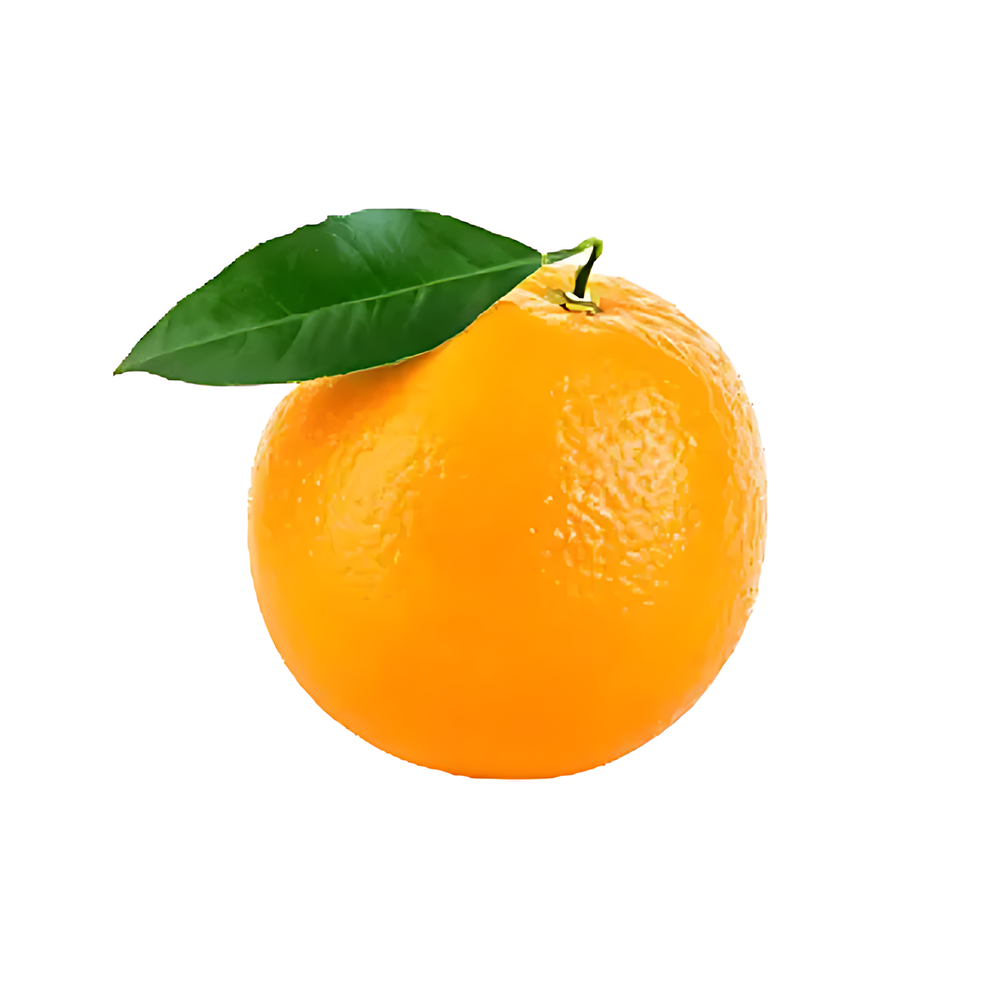 MUSAMI (Dozen) – Al-Fatah