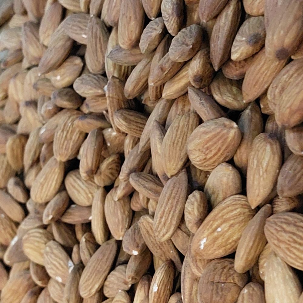 ALMOND GOLDEN WO SHELL USA S LOOSE – Al-Fatah
