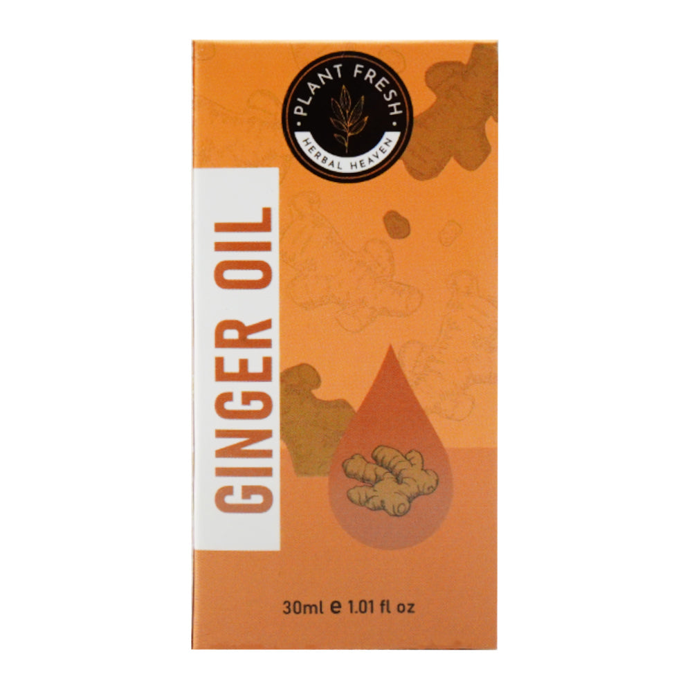 Plant Fresh Ginger Oil - Buy Plant Fresh Ginger Oil Online – Al-Fatah
